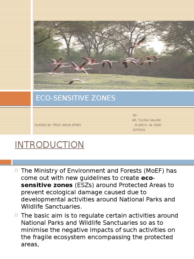 Eco Sensitive Zones | PDF | Writ | Government Information