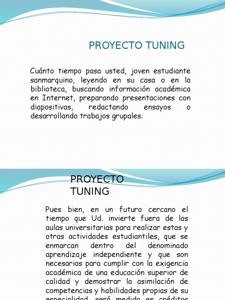 Proyecto Tuning Pdf Universidad Aprendizaje