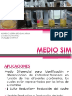 Medio Sim | PDF