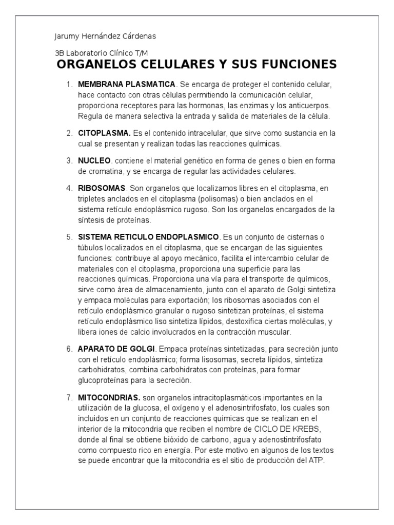 Organelos Celulares y Sus Funciones | PDF | Citoplasma | Retículo ...