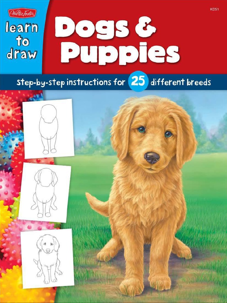 Drawing Dogs & Puppies! | PDF | Poodle | Collie