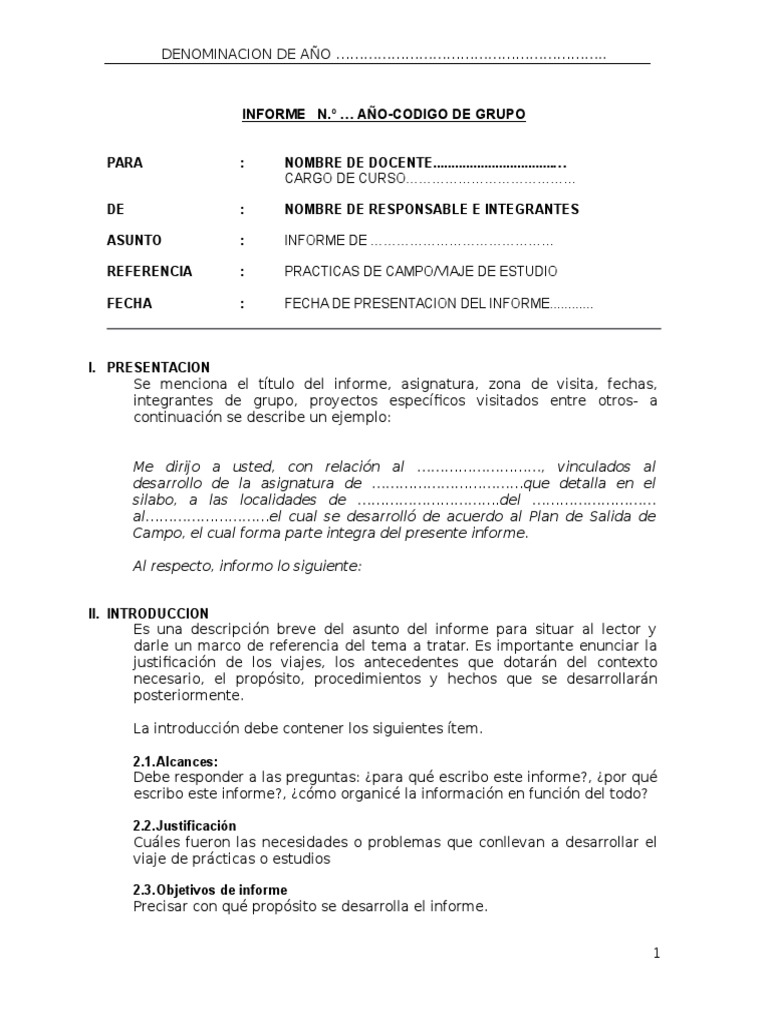 Formato de Informe | PDF | Información | Planificación