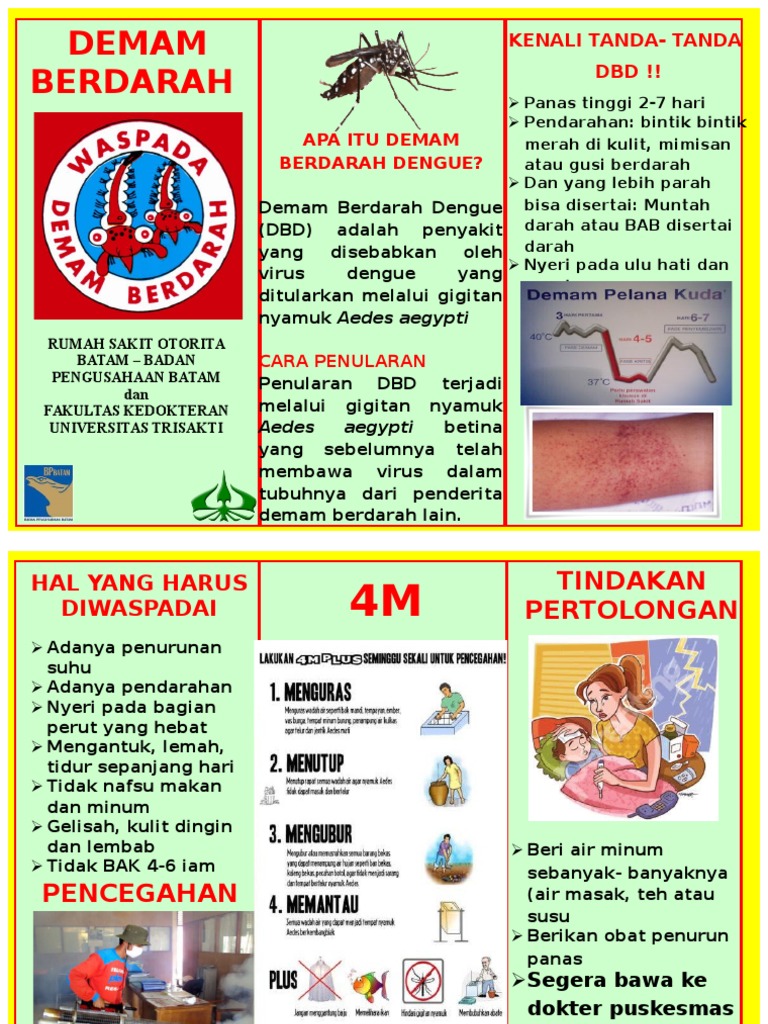 Leaflet DBD | PDF
