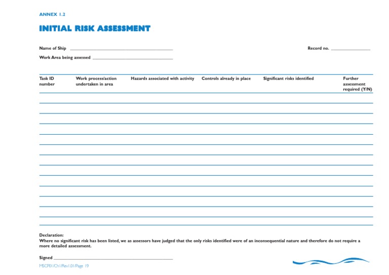 Initial Risk Assessment | PDF