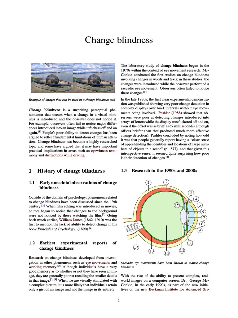 Change Blindness | Nervous System | Neuropsychology