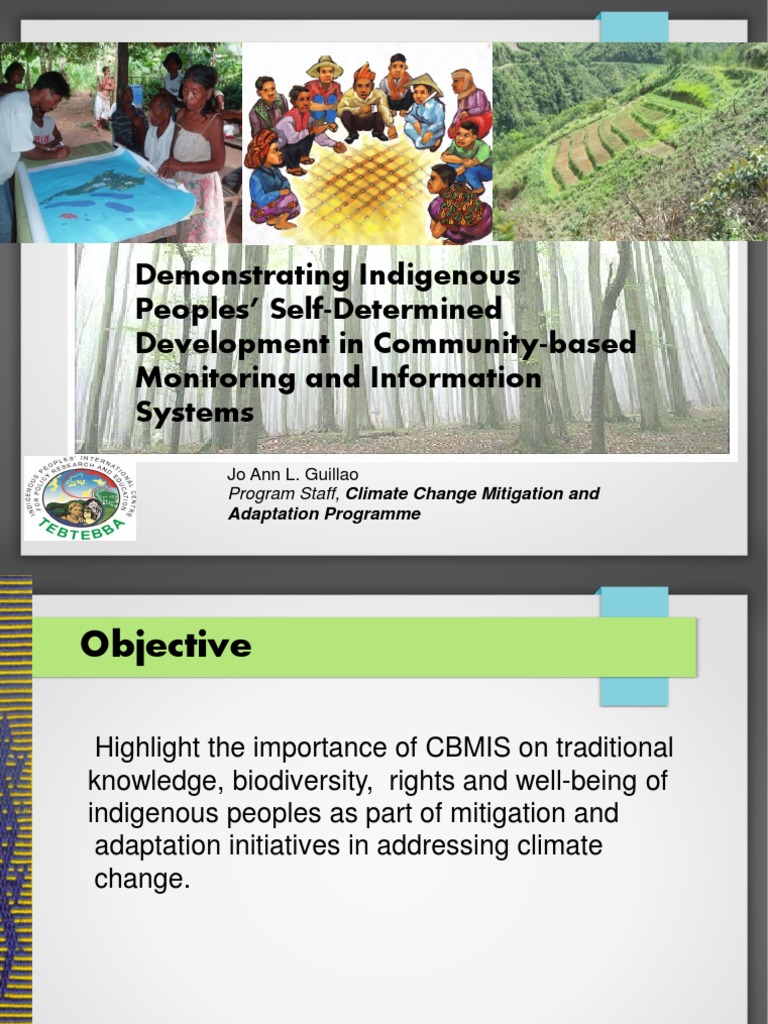 Demonstrating Indigenous Peoples' Self-Determined Development | PDF ...