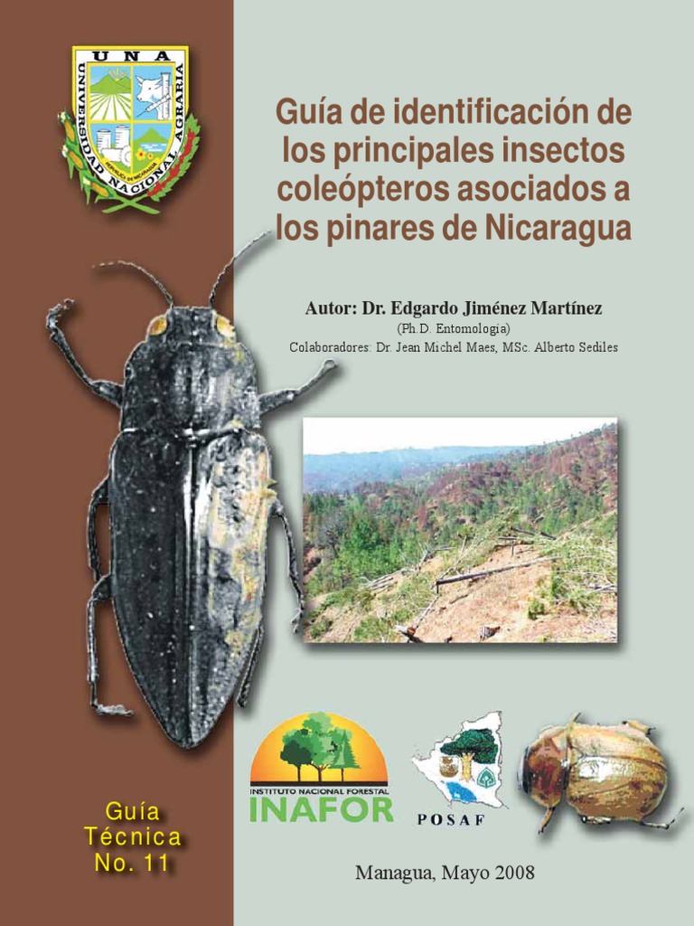 Guia de Insectos PDF | PDF | Los bosques | Agricultura
