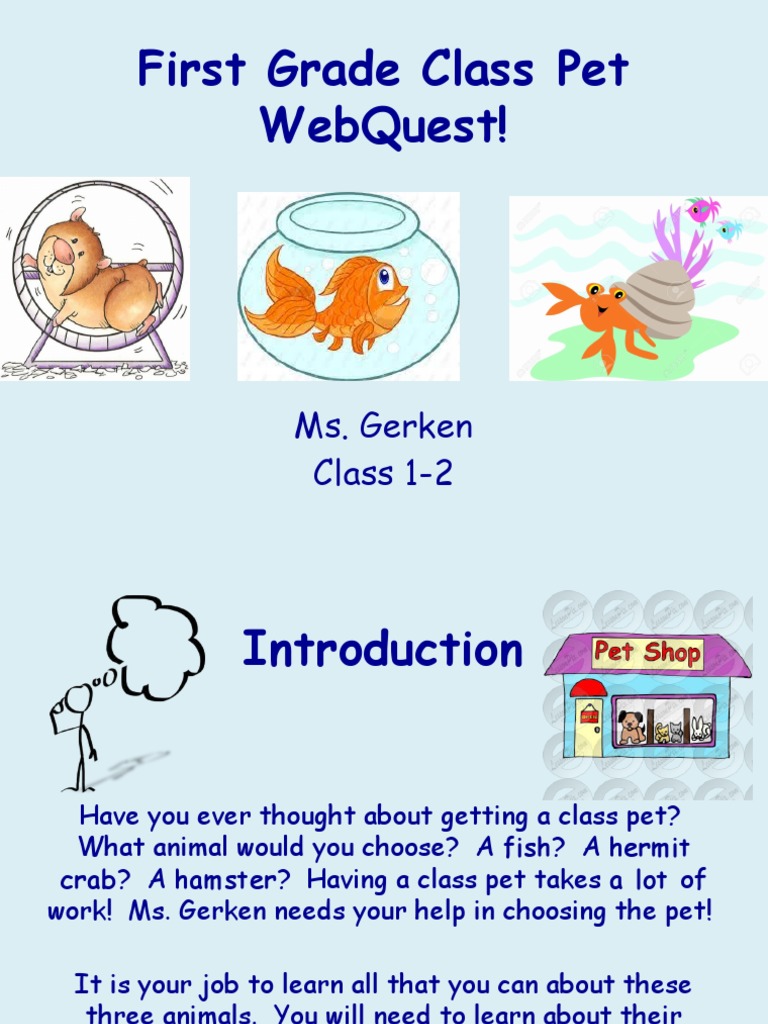 First Grade Class Pet Webquest! | PDF