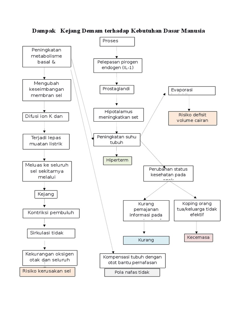Pathway Kejang Demam | PDF