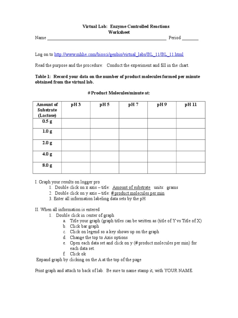 Enzyme and PH Simulation Worksheet | PDF | Enzyme | Chemical Reactions