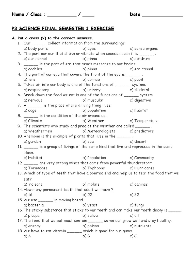 P3 Science Semester 1 Exercise | PDF | Ear | Tooth