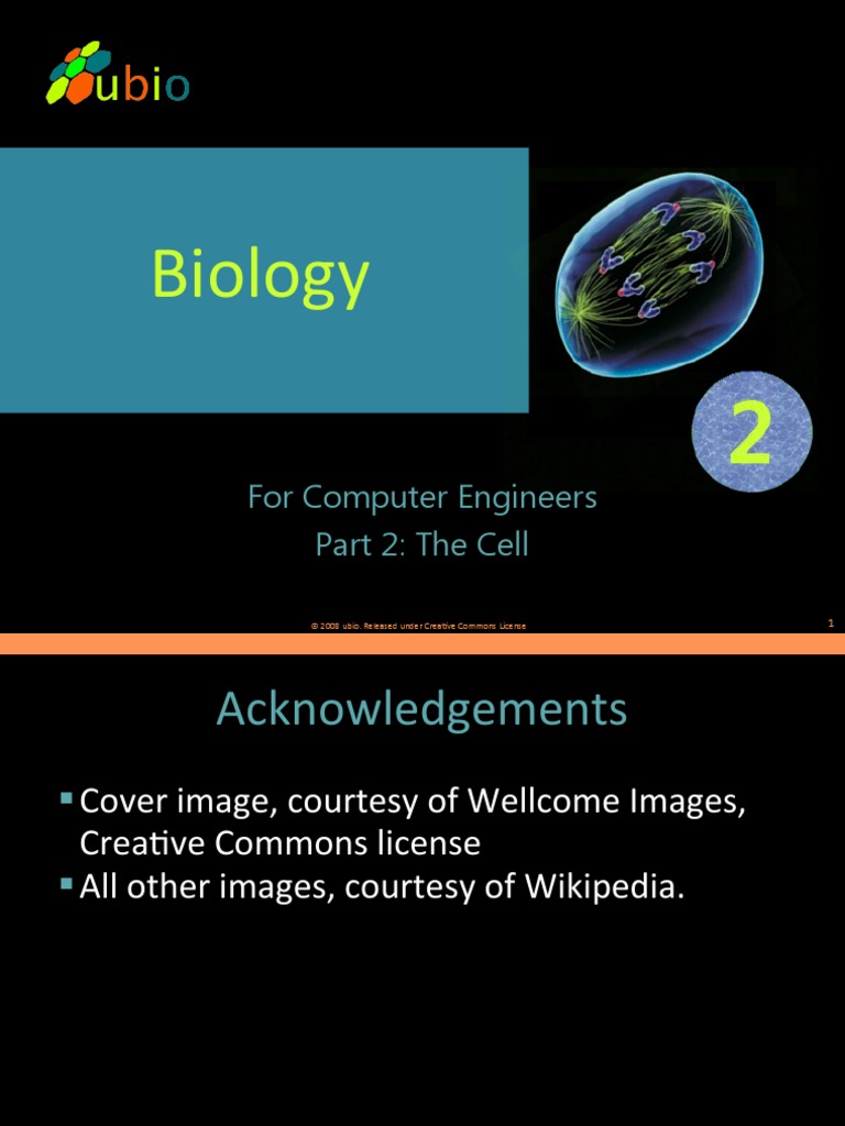 Tutorial On Cells and Cell Biology 1119 | PDF | Cell (Biology) | Cell ...