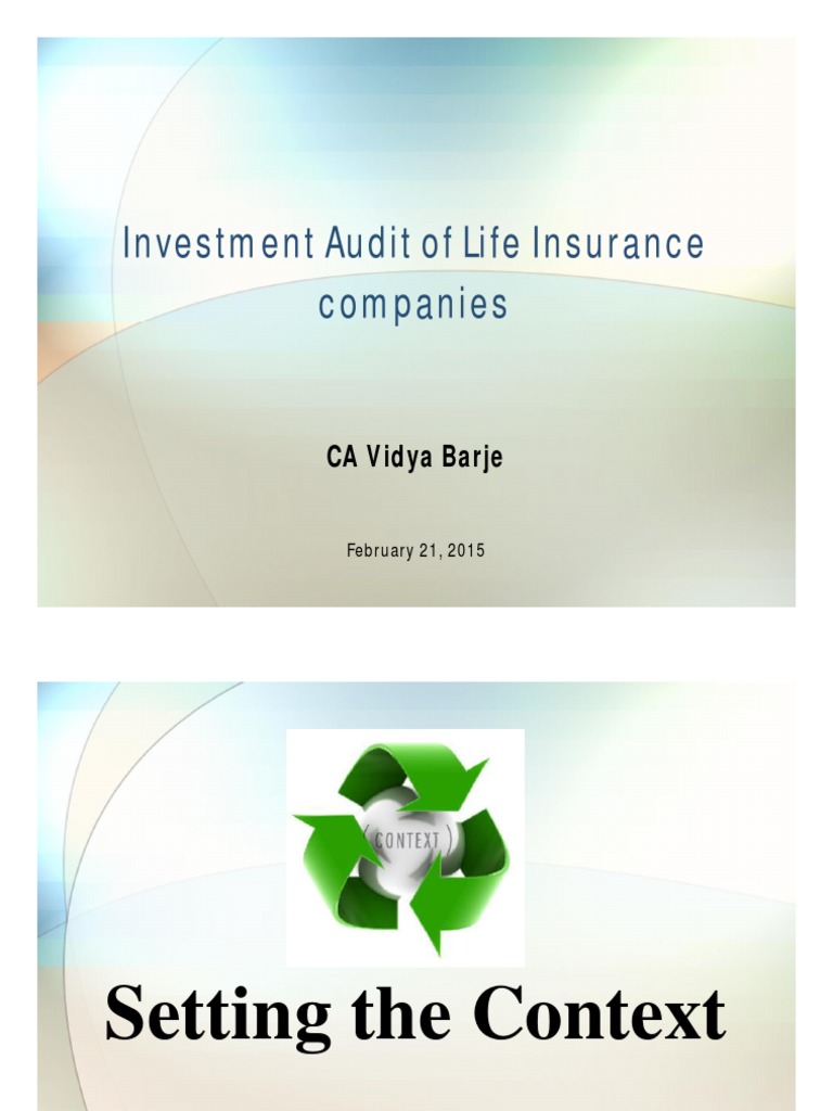 Insurance Investment Audit | PDF | Securities (Finance) | Warrant (Finance)