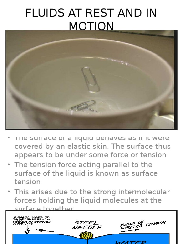 Fluids at Rest and in Motion | PDF | Surface Tension | Properties Of Water