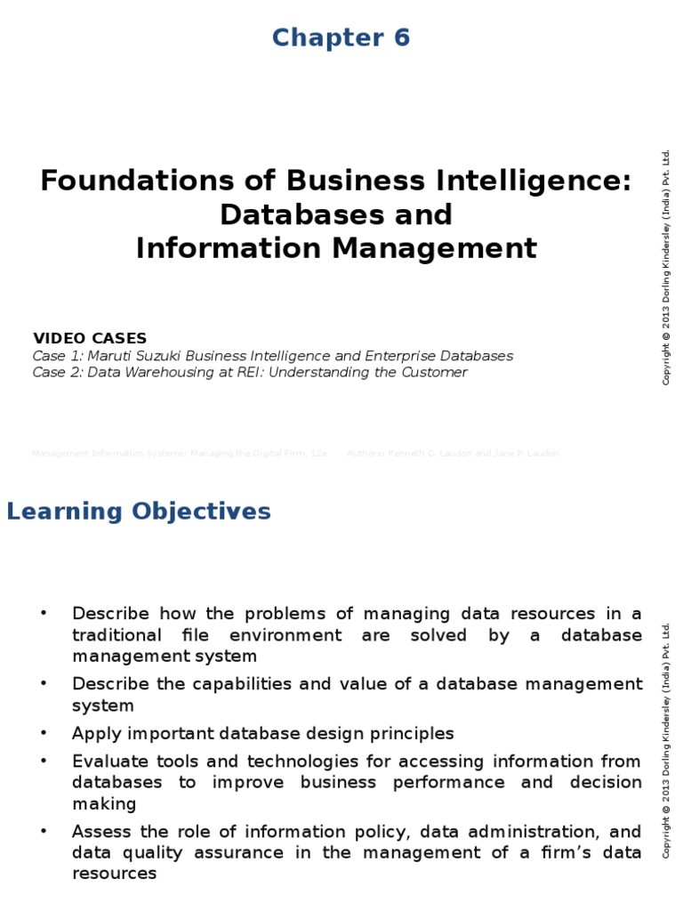 Foundations of Business Intelligence: Databases and Information Management | PDF | Data ...