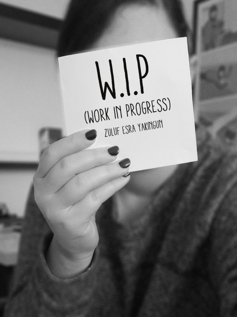 ProcessBook - Final Year | PDF | Animation | Comics