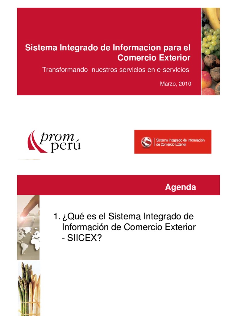 Siicex Promperu - China | PDF | Información | Exportaciones