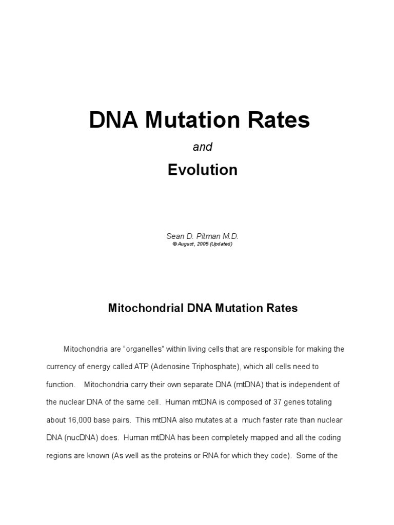 DNA Mutation Rates | PDF | Mitochondrial Dna | Mutation
