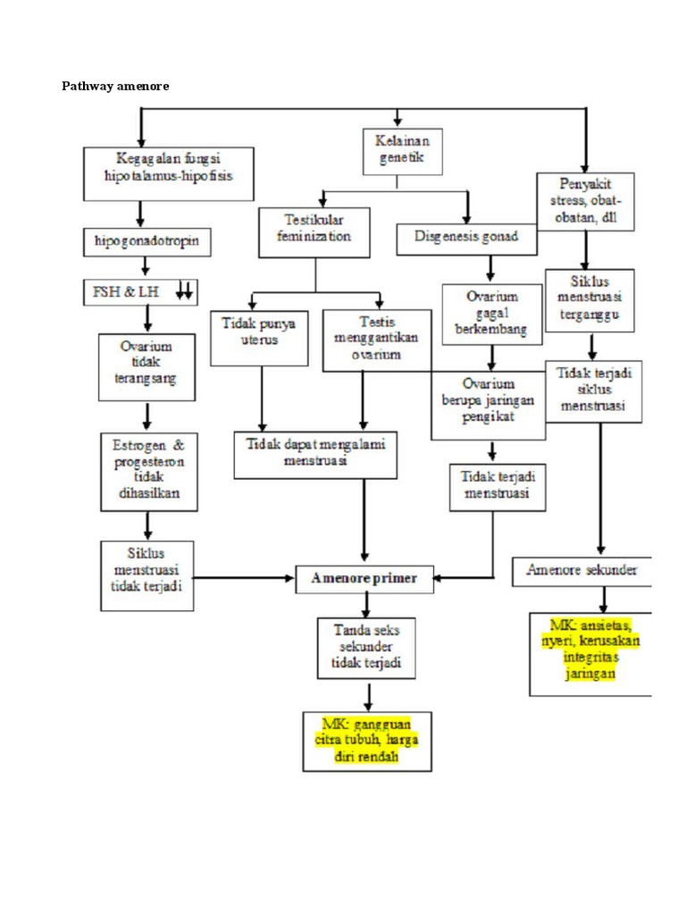 Pathway Amenore | PDF