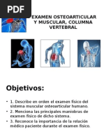 Facies Algicas | PDF | Anatomía humana | Especialidades Medicas