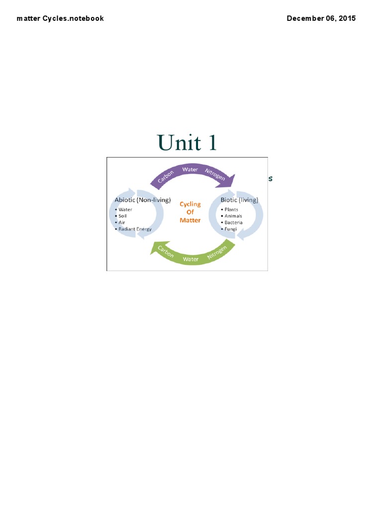 Carbon and Nitrogen Cycles Explained | PDF