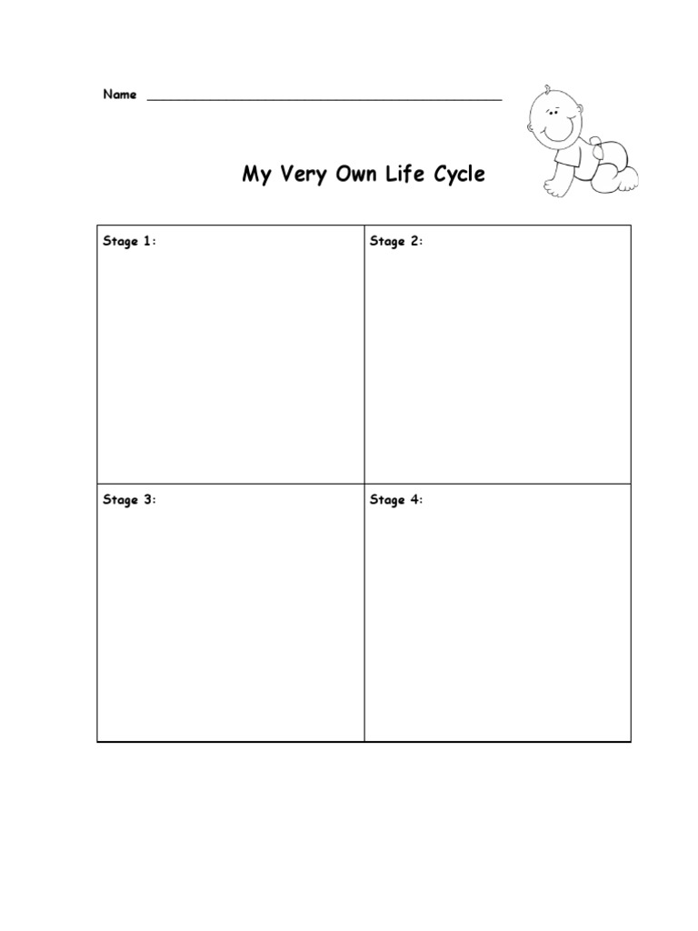 My Very Own Life Cycle | PDF