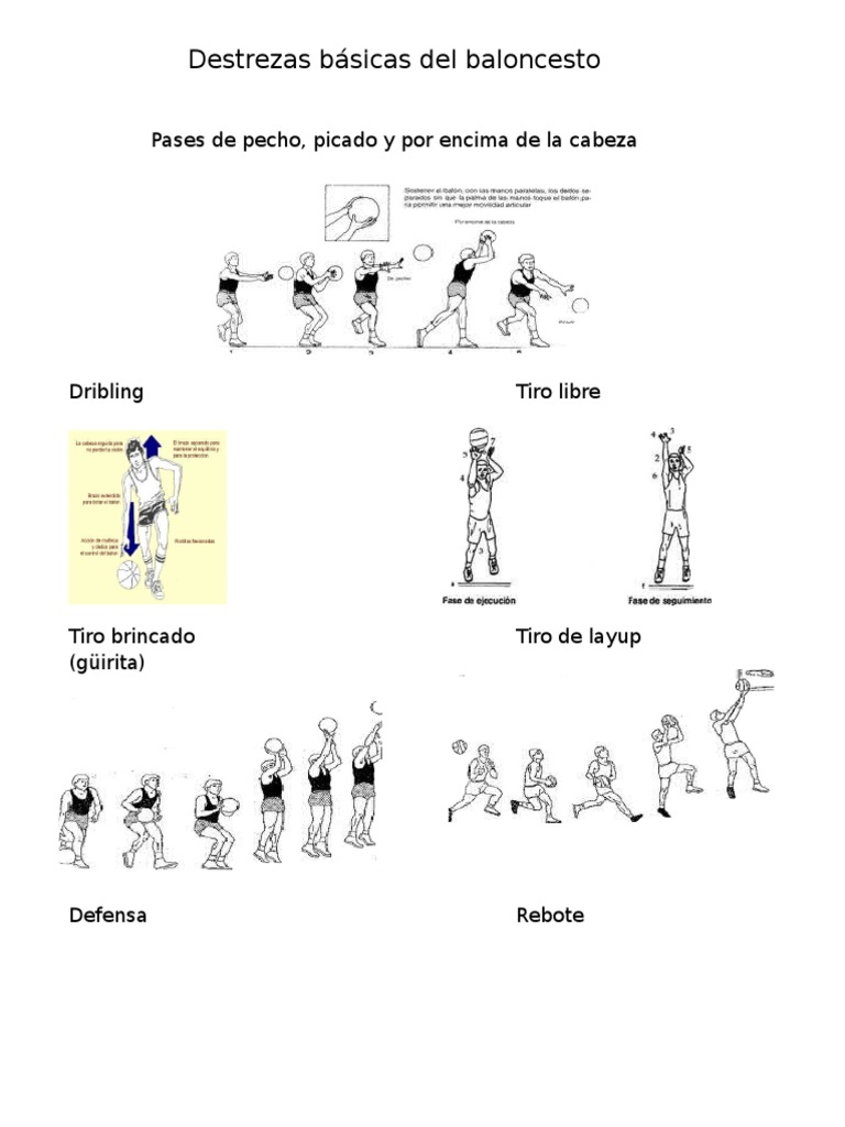 Destrezas Básicas Del Baloncesto