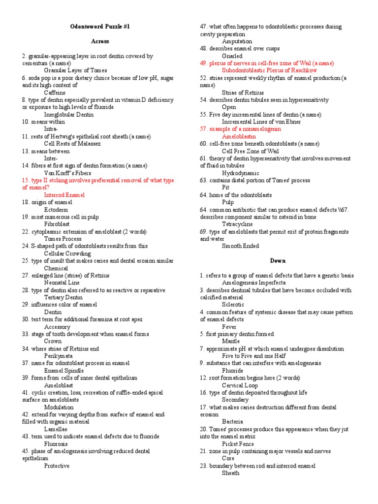 Dental Anatomy Crossword Puzzle | PDF | Tooth Enamel | Dentin