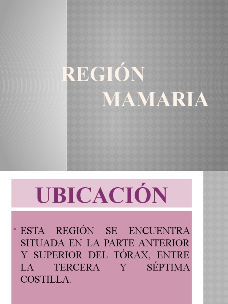 Región Mamaria | PDF | Pecho | Anatomía humana