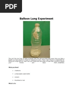 Lung Model With Two Lungs and Diaphragm Lab | PDF