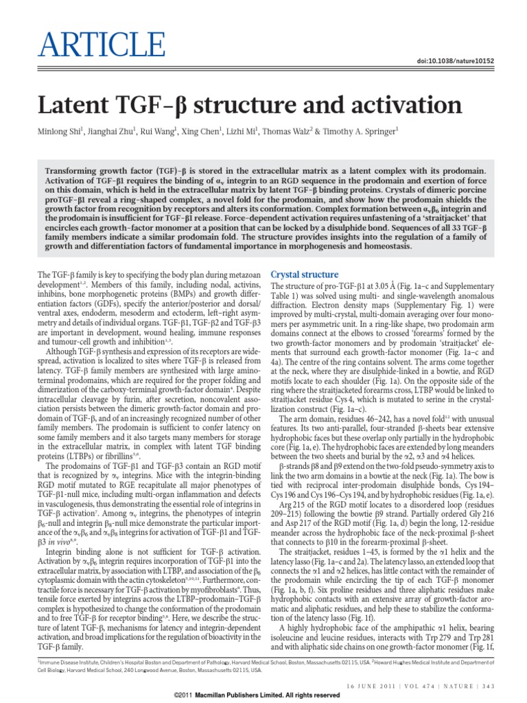 TGF Beta 3 | PDF | Integrin | Protein Domain