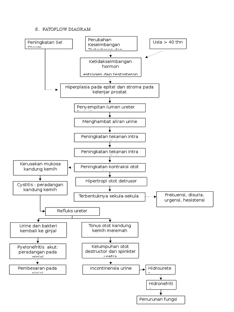 Patoflow Diagram BPH | PDF