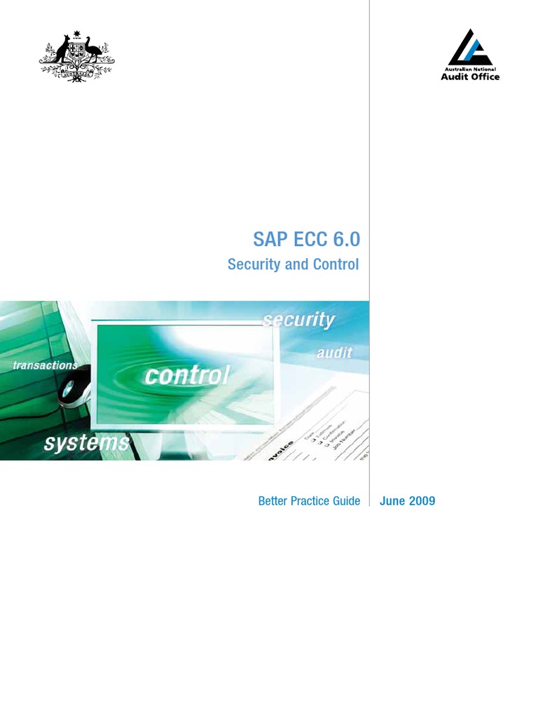 SAP ECC Security | PDF | Business Continuity | Risk