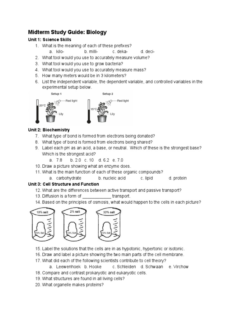 Biology Midterm Study Guide | PDF