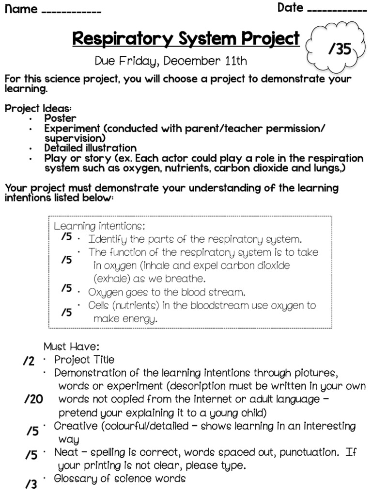 Respiratory Project | PDF
