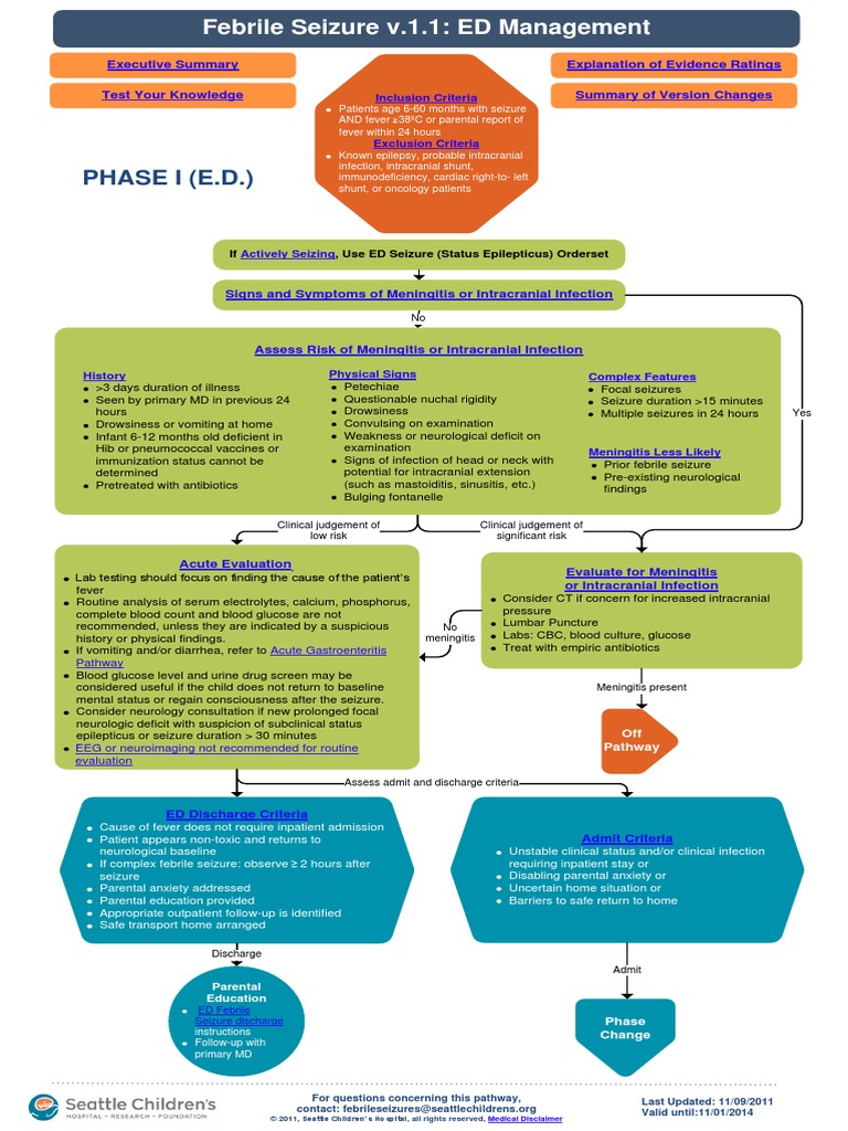 Algorithm Febrile Seizures | PDF | Meningitis | Epilepsy