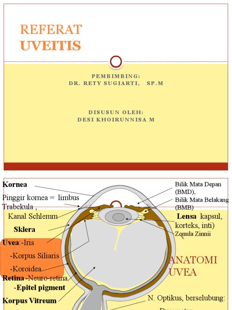 Referat Uveitis | PDF