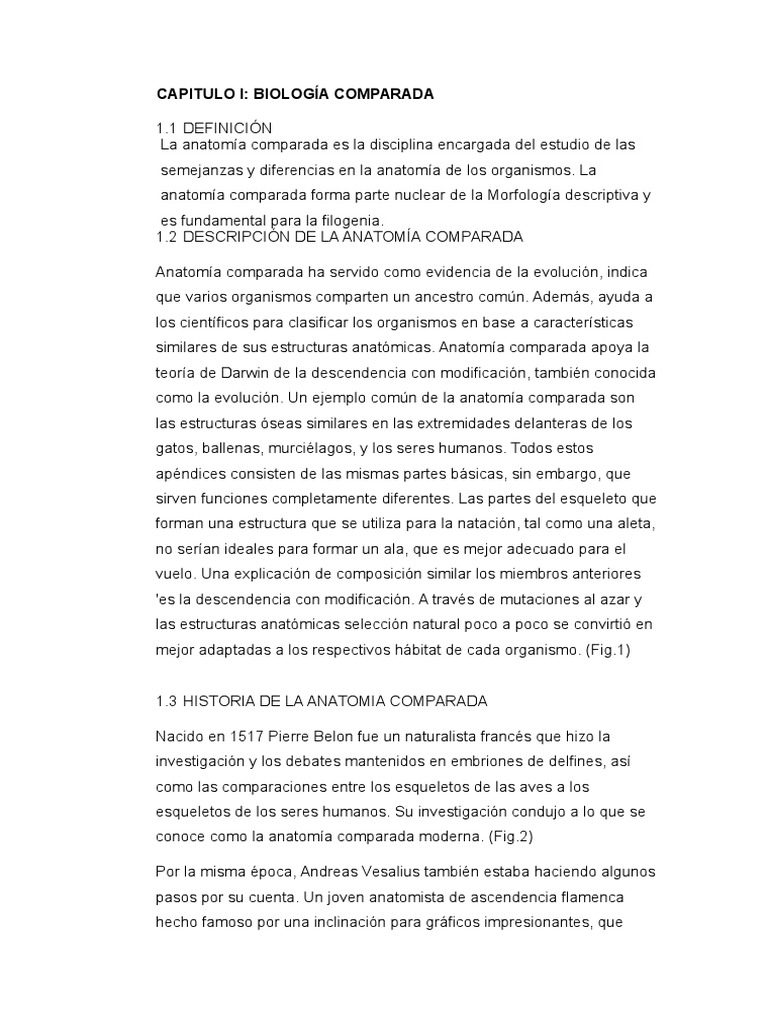 Biologia Comparada | PDF | Diente humano | Anatomía humana