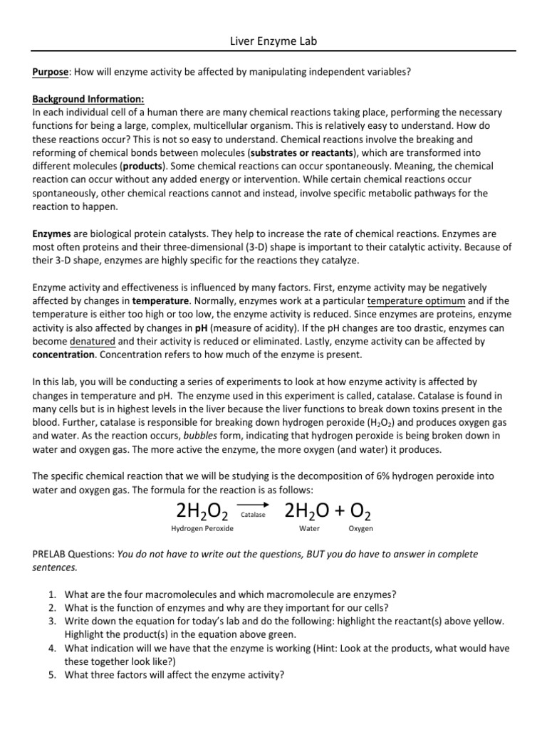 Enzyme Lab Background | PDF | Enzyme | Catalase