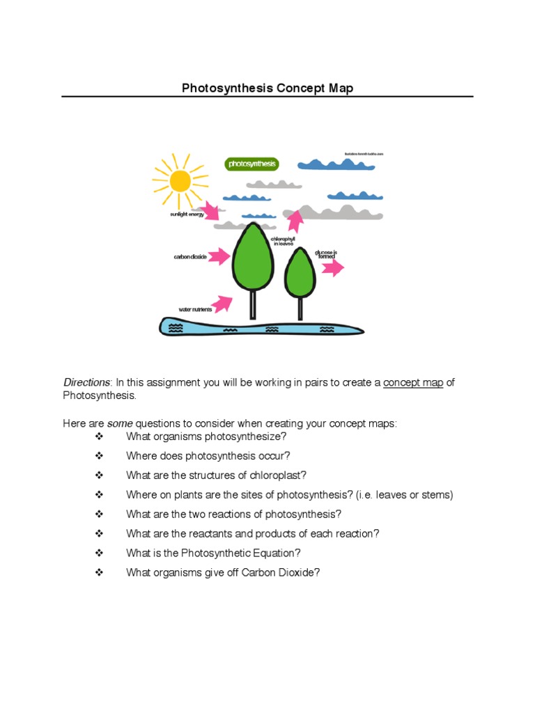 Concept Map Instructions | PDF