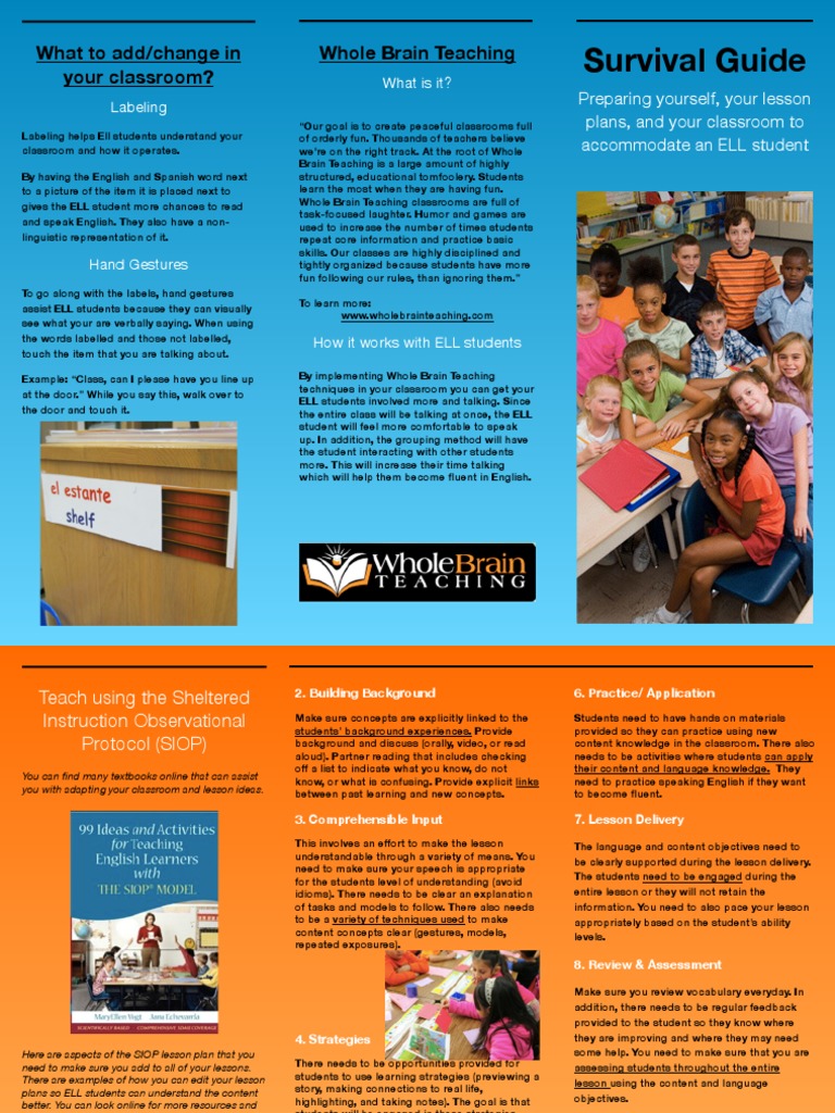 Survival Guide Brochure | PDF | Lesson Plan | Classroom