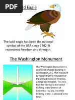 U.S. Symbols Webquest for First Graders | PDF | Rubric (Academic ...
