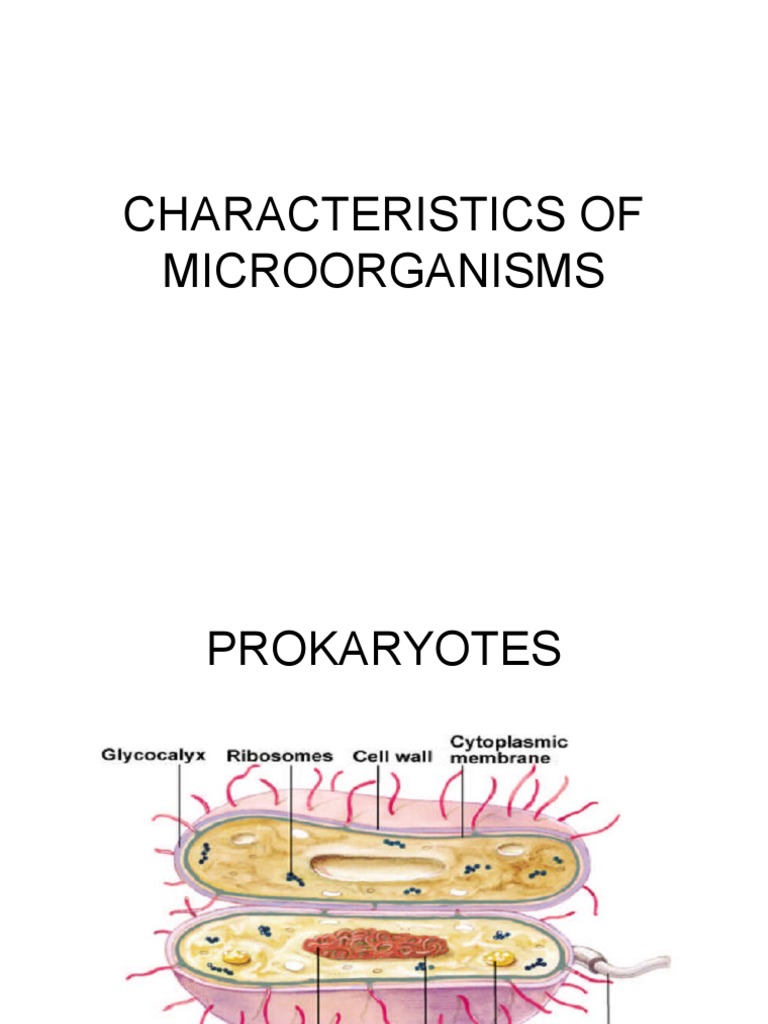 Characteristics of Microorganisms Overview | PDF | Eukaryotes | Cell ...