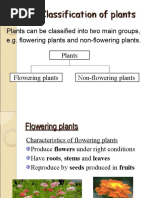 Grade 6 - Classification of Plants | PDF