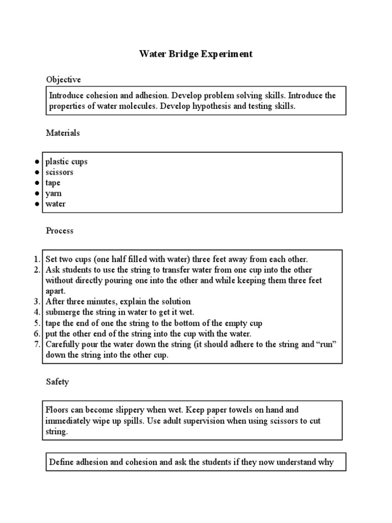 Water Bridge Experiment Guide | PDF