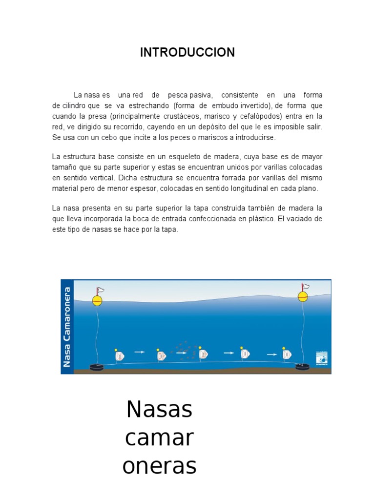 Nasas | PDF | Peces y humanos | Pescado