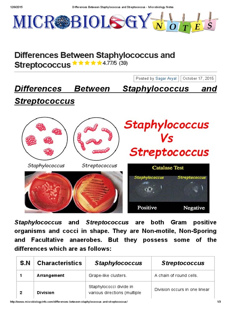 Differences Between Staphylococcus and Streptococcus - Microbiology ...