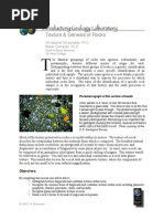 Rock Identification Dichotomous Key | PDF | Basalt | Igneous Rock