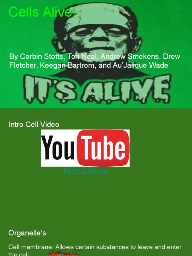 Cells Alive | PDF | Cell (Biology) | Cell Membrane