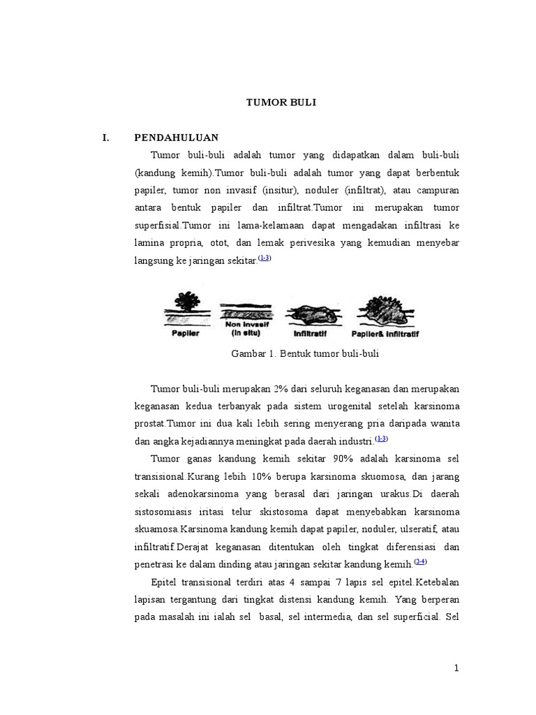 Tumor Buli-Buli: Epidemiologi dan Etiologi | PDF
